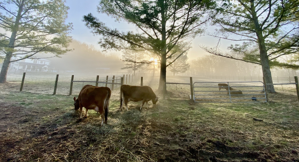 About - Nourishing Source Farm